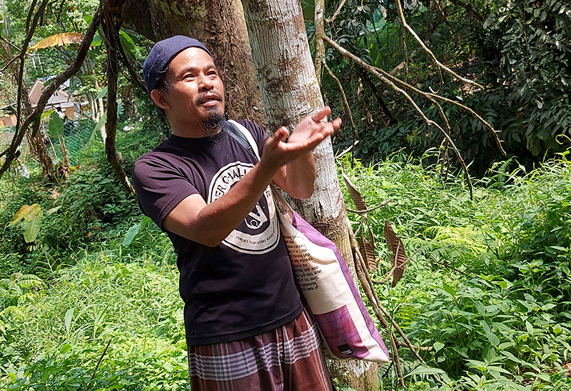 Indigenous Communities, Yellow Tree X The Ulam School - Yellow Tree ...